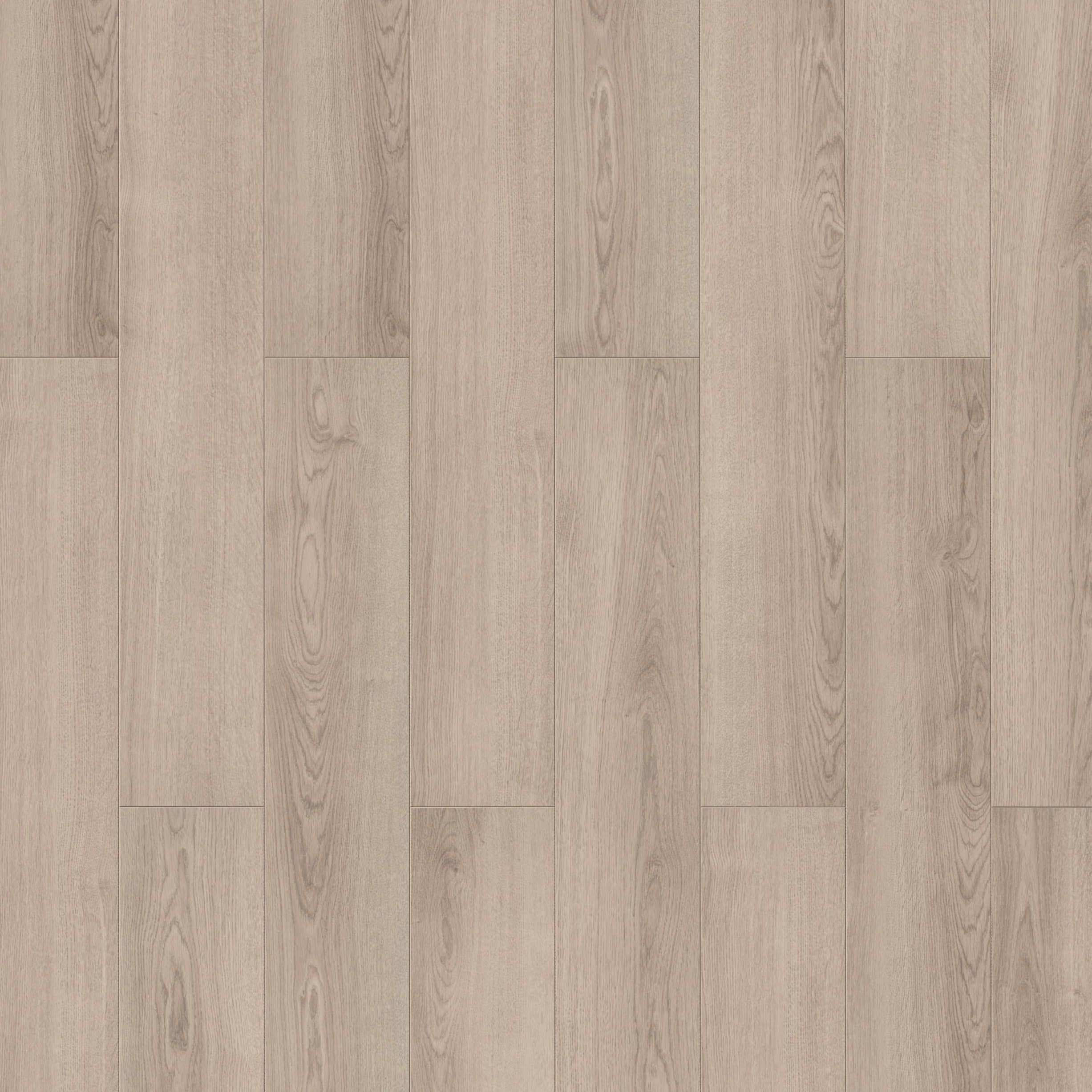 InHaus - Lamdura - Visions Collection - Adelaide – Flooring Depot