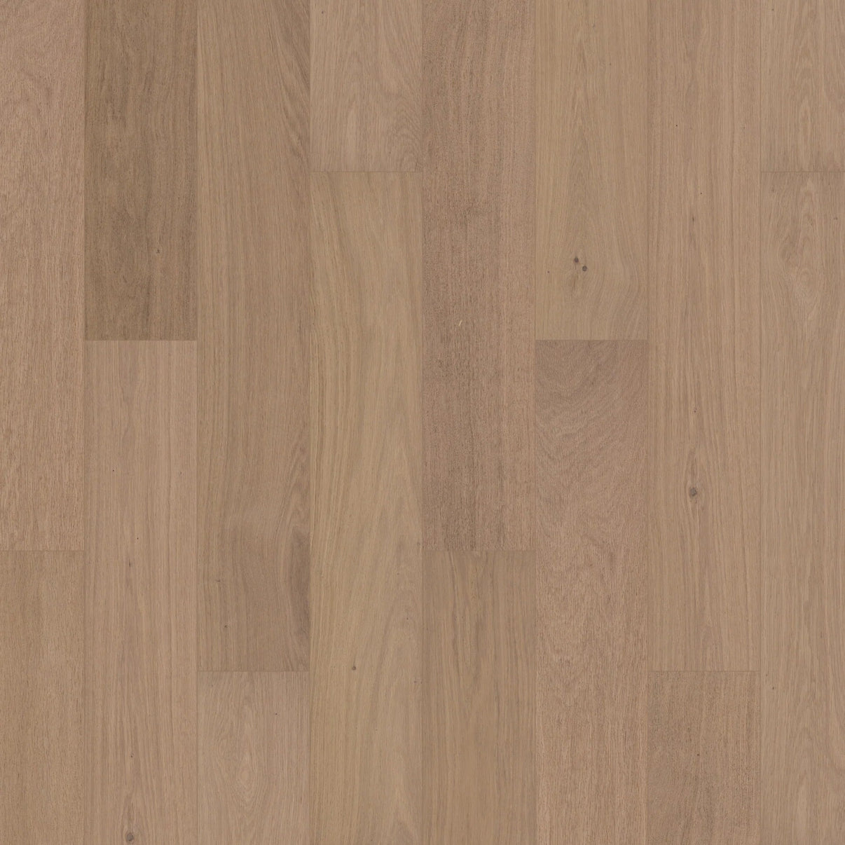 Oakel City Flooring - 9 Series - Invisible - AB Grade – Flooring Depot